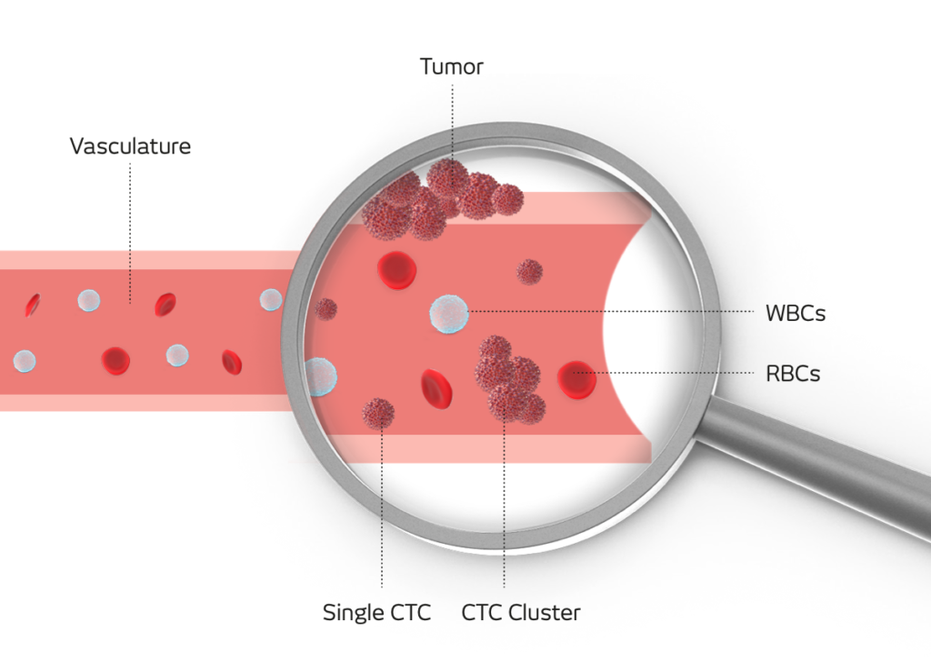 EARLY DETECTION MULTI-CANCER SCREENING TEST